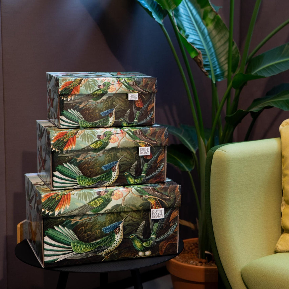 Art of Nature Storage Box Classic | Dutch Design Brand | FSC