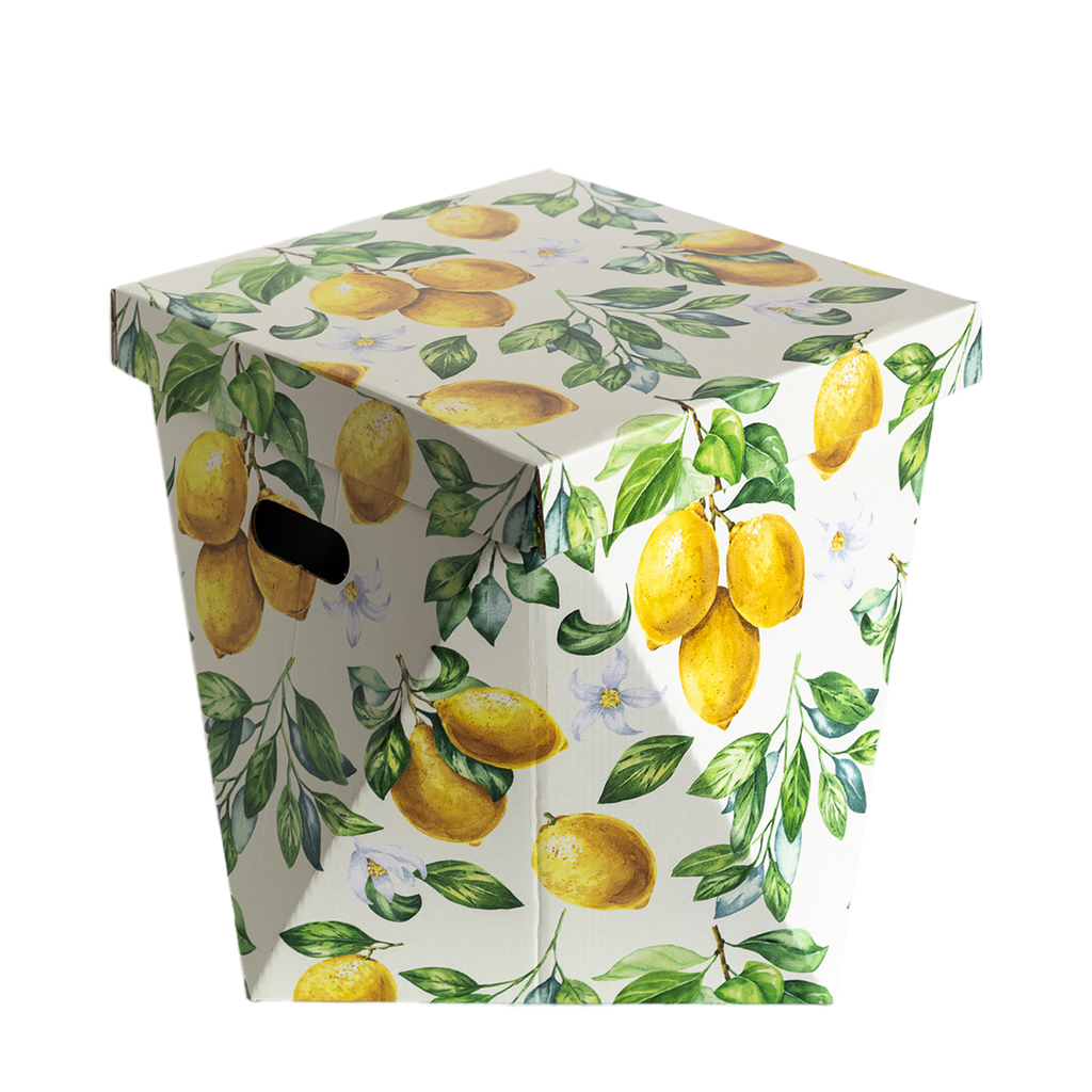 Lemons storage box | Dutch Design Brand | FSC